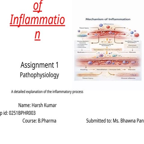 Mechanism_of_Inflammation_Detailed_PPT (1).pptx
