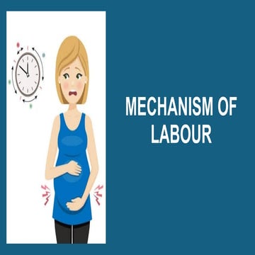 mechanism of labor_ppt.pptx a reference for Maternal and Child | PPTX