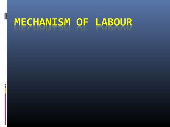 Mechanism of normal labour | PPTX | Pregnancy | Reproductive Health