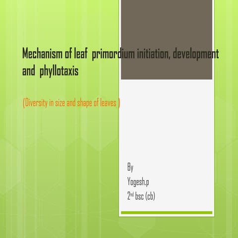 Mechanism of leaf primordium initiation,.pptx