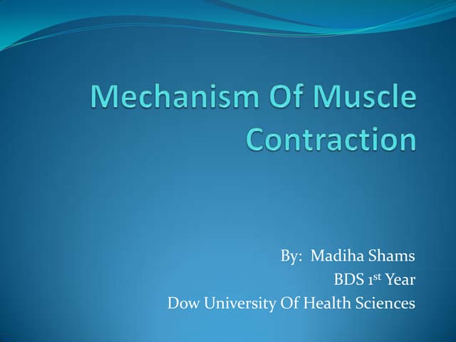 Sliding filament theory muscle contraction | PPT