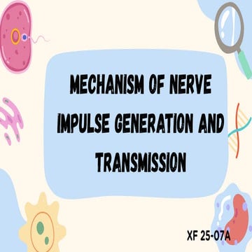 Mechanism of nerve impulse generation and transmission.pdf