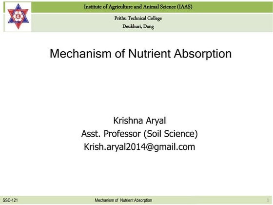 Mechanism of nutrient uptake in plants | PPTX | Chemistry | Science