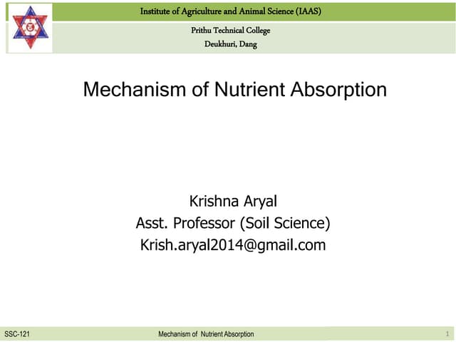 Mechanism of nutrient uptake in plants | PPTX