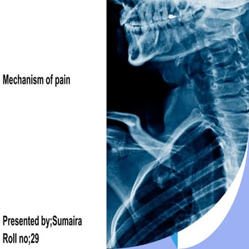 Mechanism of pain.pptx