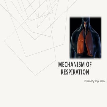 Comprehensive Mechanism of Respiration: Physiology and Mechanics ...