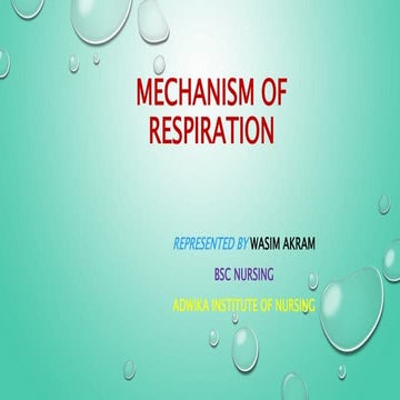 Mechanism of Respiration//BREATHING MECHANISM//Gaseous exchange ...
