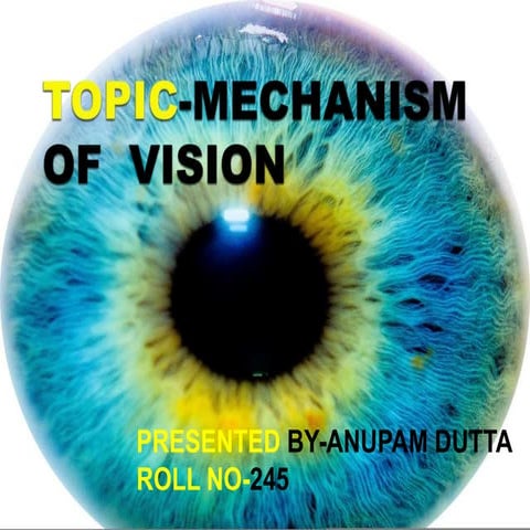 Mechanism of Vision in Human Beings with Diagram | PPTX