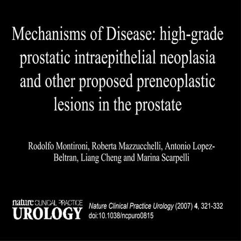 Mechanisms of Disease: high-grade prostatic intraepithelial neoplasia ...