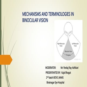 Basics of binocular vision | PPT
