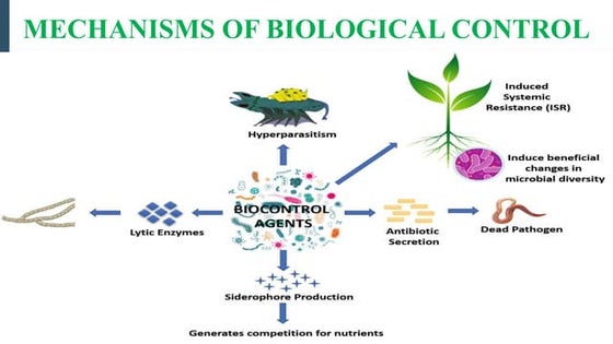 Biocontrol agents | PPT