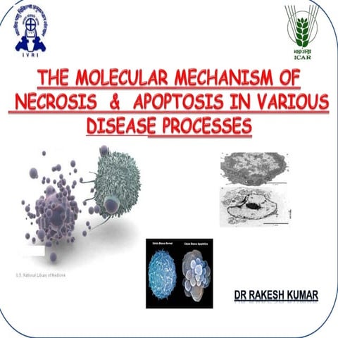 Mechanisms of cell death | PPT