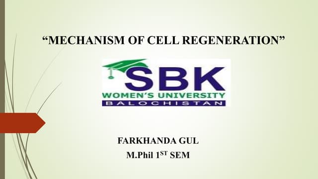 Regeneration in vertebrates | PPTX