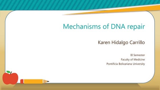 Dna Repair Mechanisms | PPT