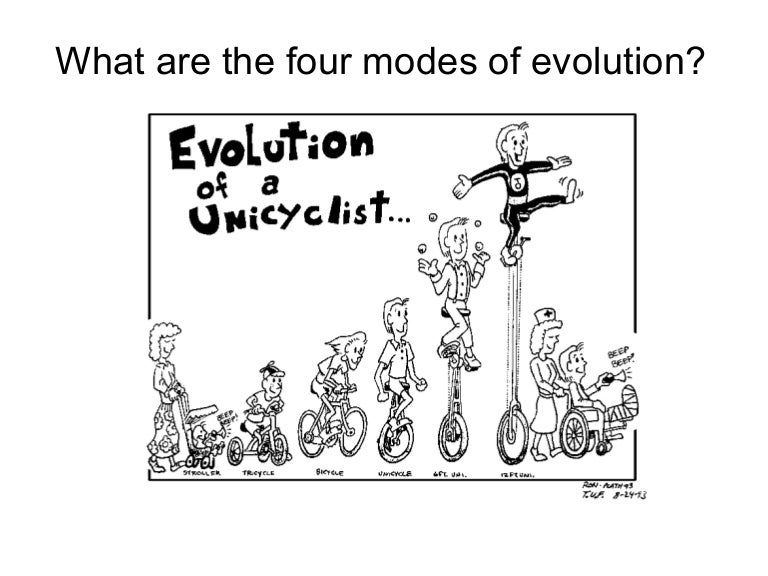 Mechanisms of evolution_basic