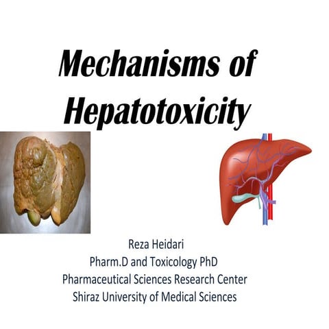 Mechanisms of Hepatotoxicity | PPT