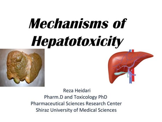 Hepatotoxicity | PPT