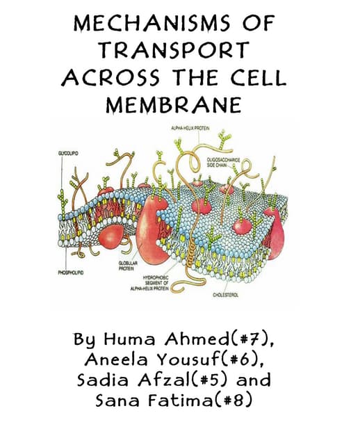 Diffusion and osmosis | PPTX