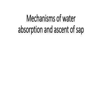 Mechanisms of water absorption and ascent of sap. | PPTX