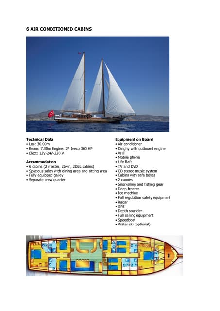 Fastnet Puffin | PDF