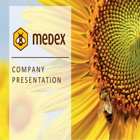 MEDEX Company presentation 2019 | PPT