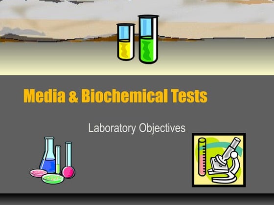 IMViC (Biochemical test) | PPTX | Chemistry | Science