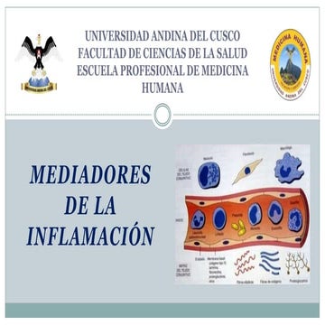 Los Mediadores de la Inflamación | PPTX