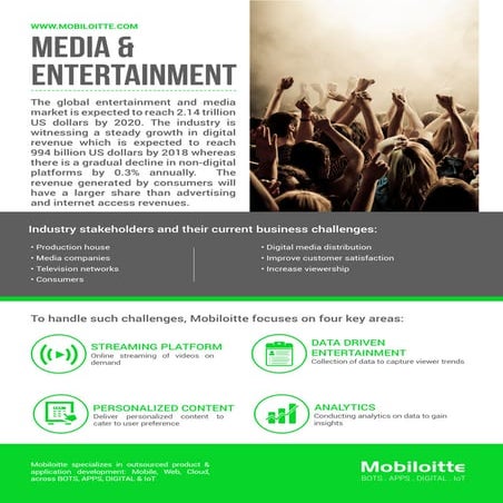 Media & Entertainment Flyer | PDF