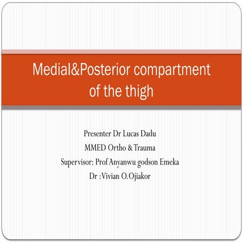 Medial &Posterior compartment of the thigh .pptx