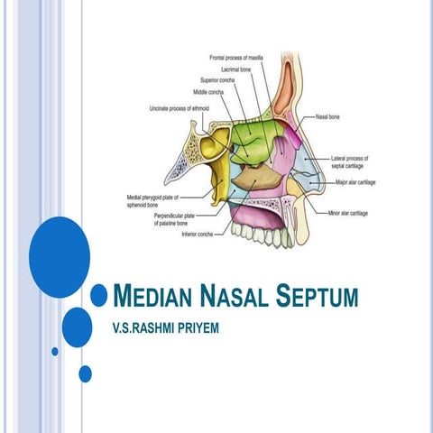 Median Nasal Septum | PPTX