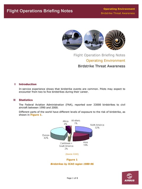 Dgca safety bulletin | PDF