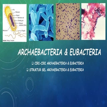 Archaebacteria & Eubacteria | PPTX