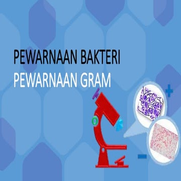 perbedaan gram positif dan gram negatif | PPTX