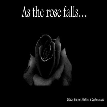 Media pitch ceylan and gideon and ida | PPT