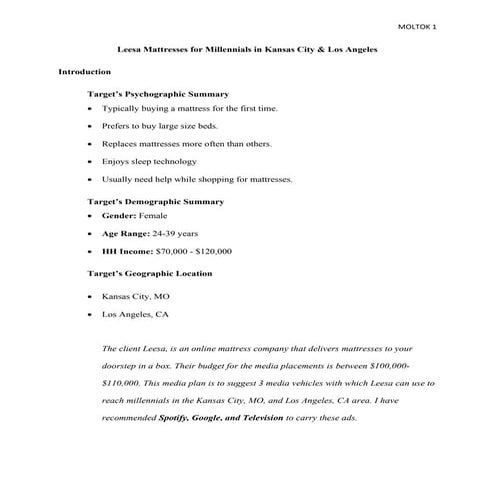 Media plan assignment | PDF | Free Download