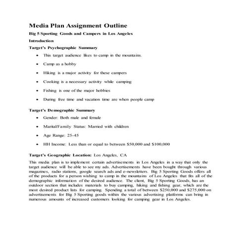 Media plan assignment outline | DOCX