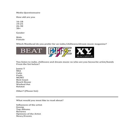 Media Questionnaire | DOCX
