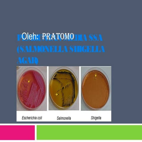 Media reagen (pembuatan media ssa) | PPT