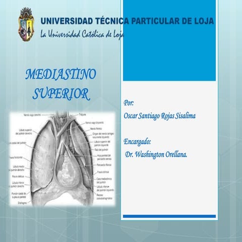 Mediastino superior | PPTX