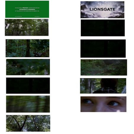 Hunger games storyboard | PPTX