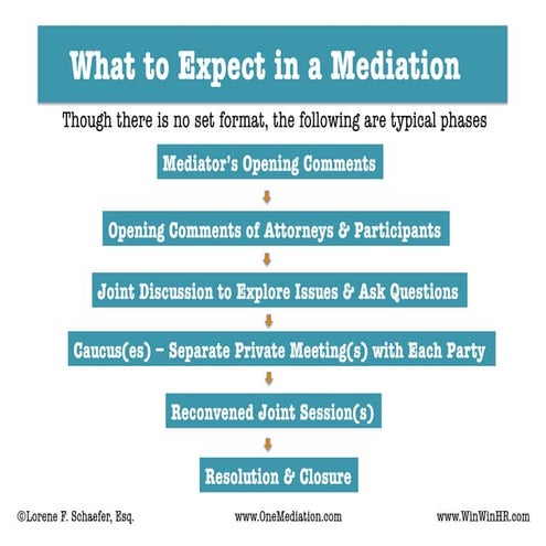 What to Expect in a Mediation | PDF