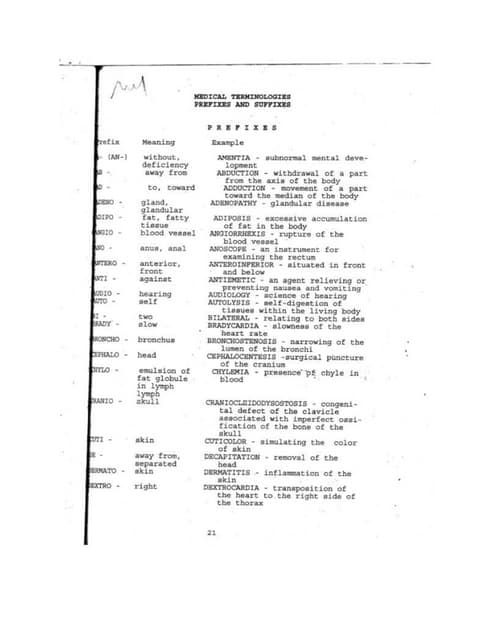 Cefazolin medication cards | DOC | Digestive Disorders | Diseases and ...