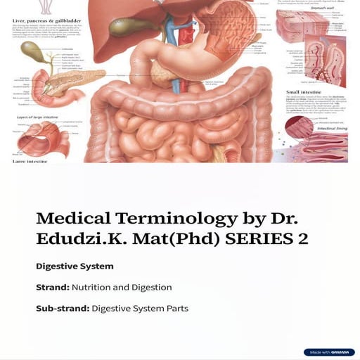 Comprehensive Medical Terminology of the Digestive System by Dr. Edudzi ...
