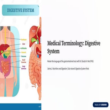 Comprehensive Medical Terminology of the Digestive System for ...