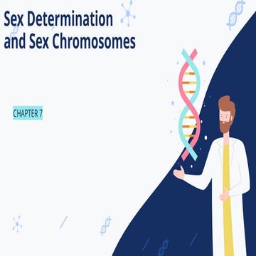 Medical number 4 Genetics Lecture 4.pptx