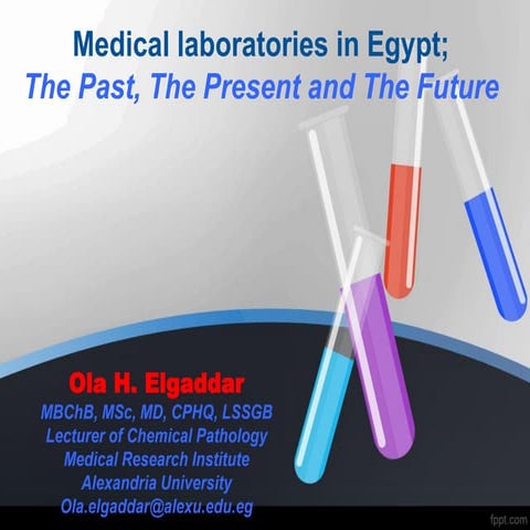 Medical Laboratories in Egypt, Ola Elgaddar, 30-12-2013 | PDF