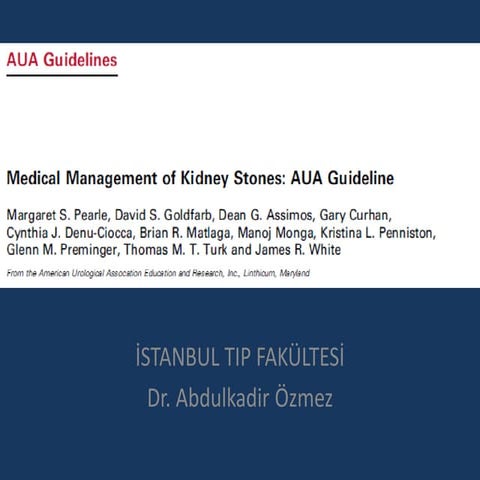 Medical management of kidney stones- AUA guideline -itfuroloji | PPTX