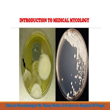 MEDICAL MYCOLOGY.pptx AManoj mahato Msc. | PPT