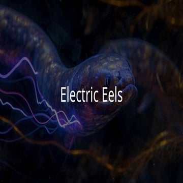 Presentation on Electric Eels in biology | PPTX