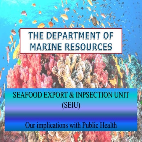 HACCP protocol for various Fish products | PDF